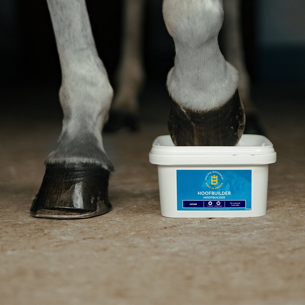 Fodertillskott för häst - Eclipse