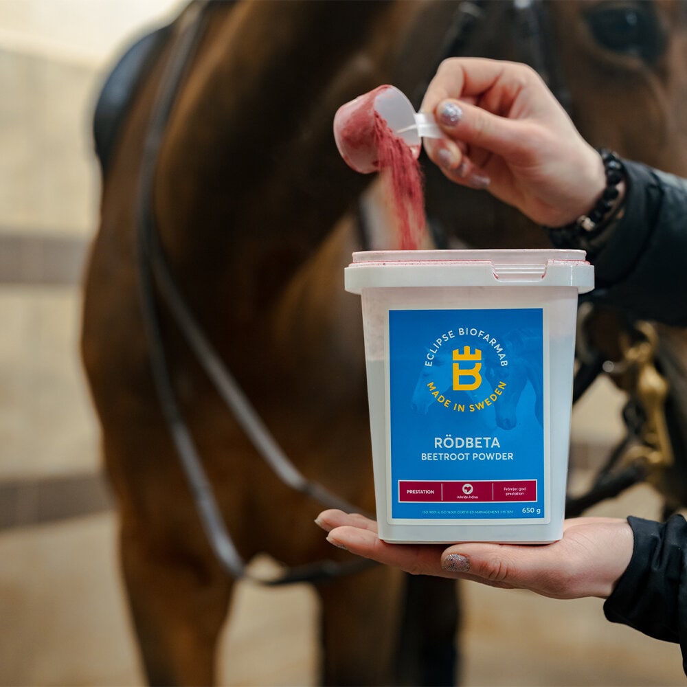 Fodertillskott för häst - Eclipse